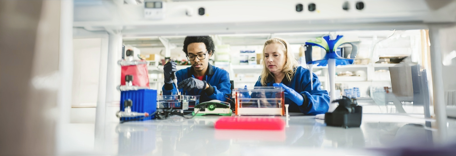 Department and Faculty Resources | FIU College of Arts, Sciences ...