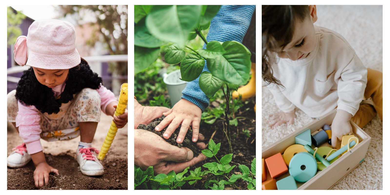 The NTA Solution Project | FIU College of Arts, Sciences & Education